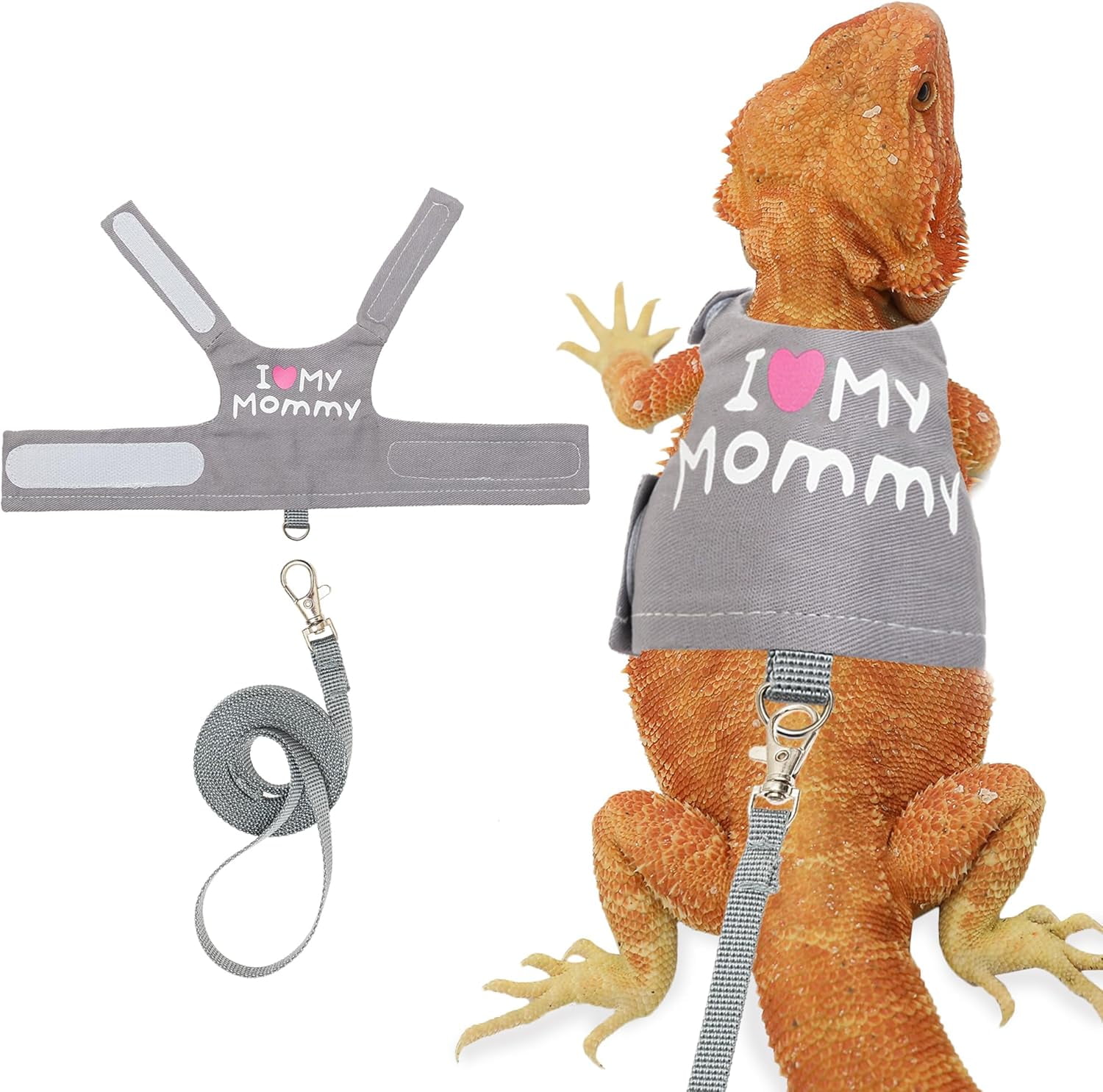 Bearded dragon harness and leash set, small reptile animal adjustable ...