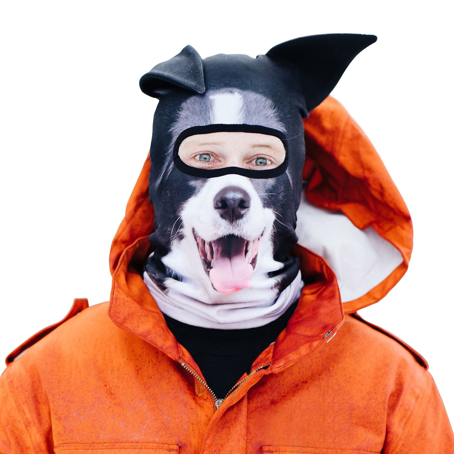 Beardowear Realistic Collie Dog Head Balaclava Ski Mask, Unisex, Fun ...