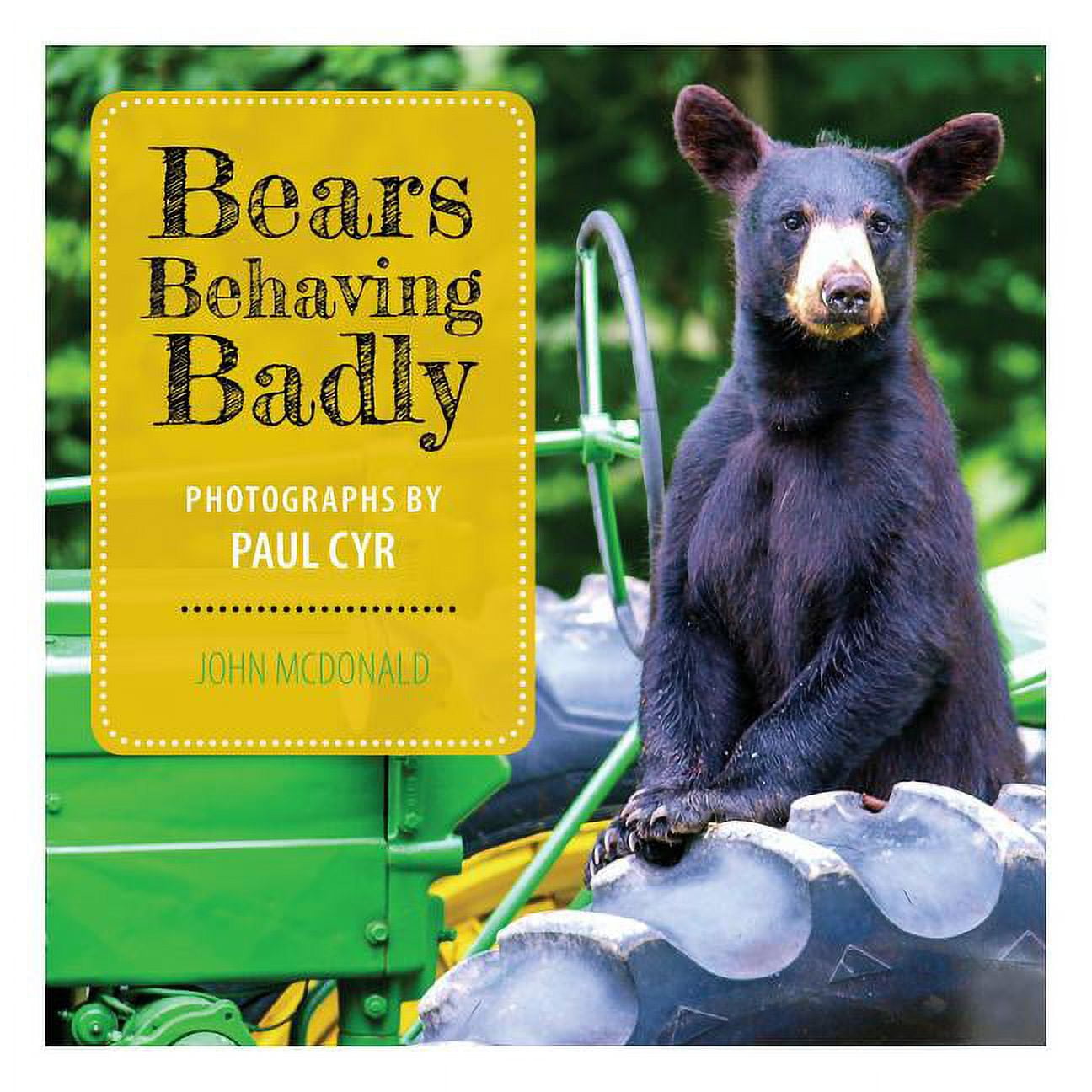 Bears Behaving Badly (Hardcover) - Walmart.com