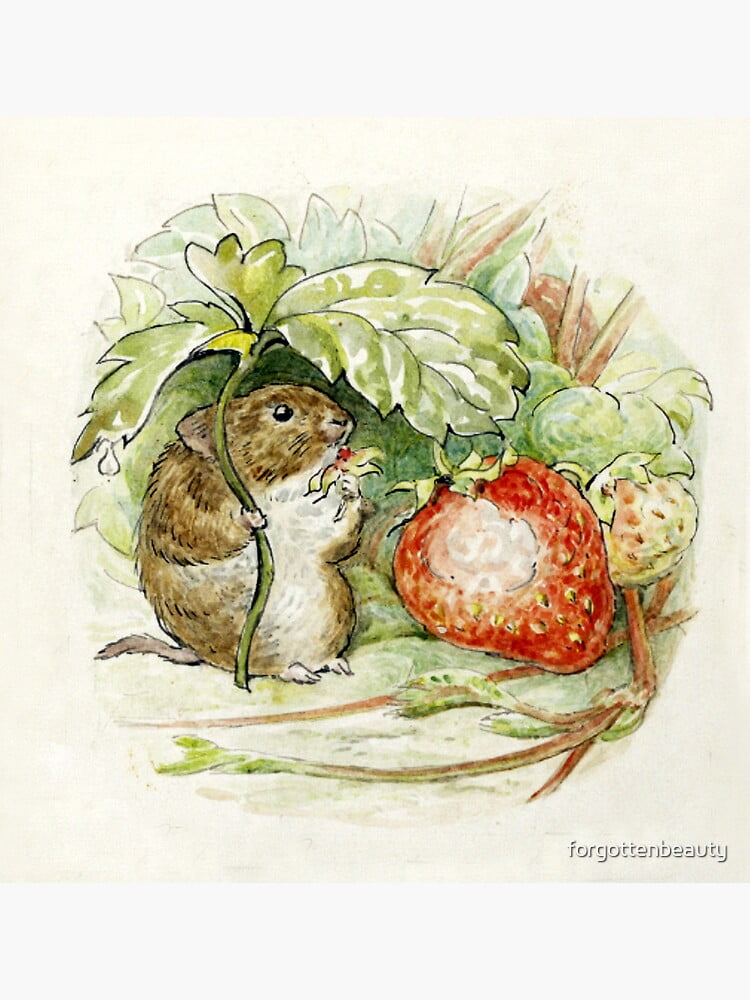 Beatrix Potter - Timmy Willie Mouse Poster Framed-unframed - Walmart.com