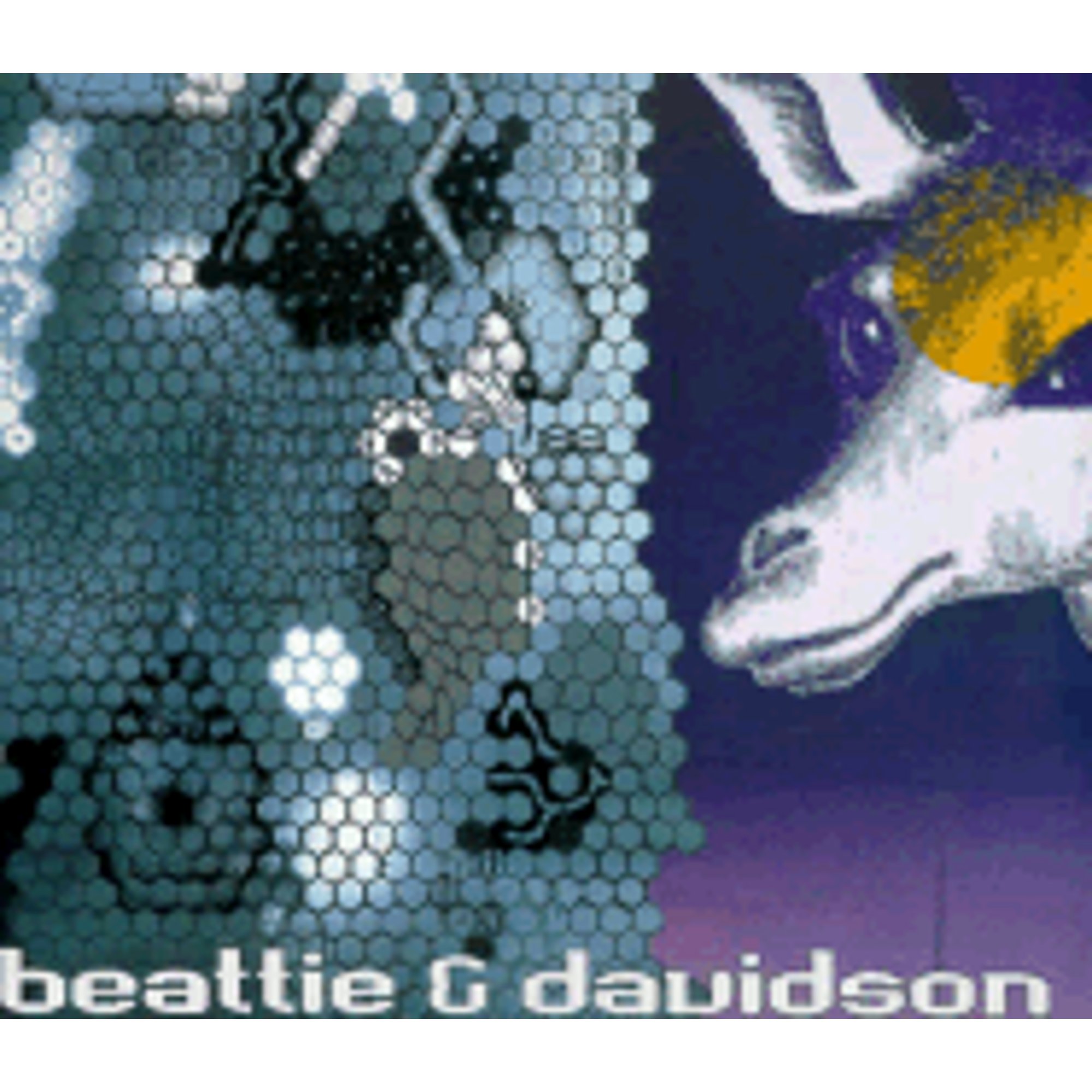 Beattie and Davidson (Paperback) by Lawrence Rinder, David Humphrey ...