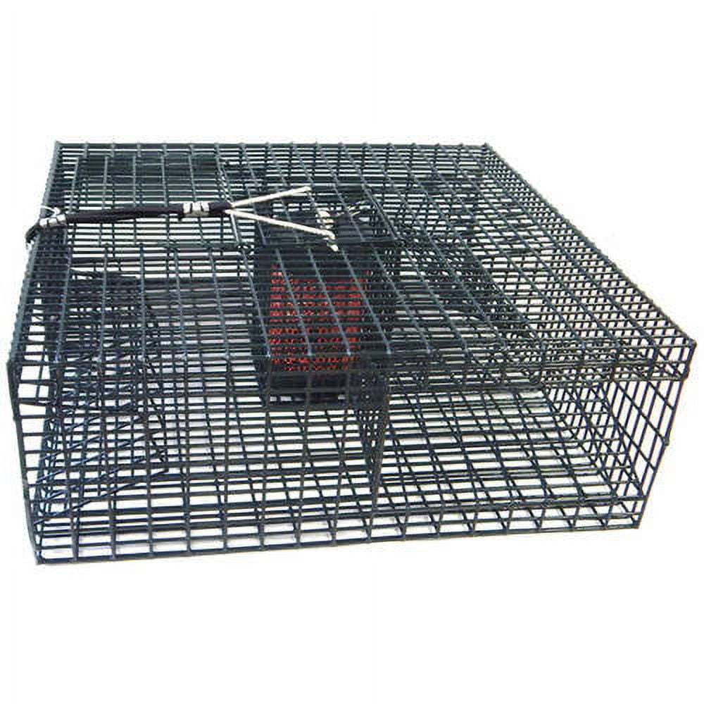Beau Mac Deluxe Square Crayfish Pot, Heavy Duty Steel Mesh, Vinyl ...