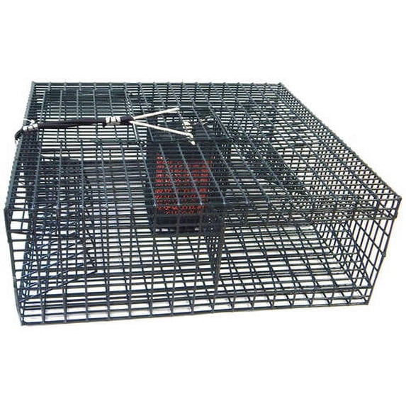 Beau Mac Deluxe Square Crayfish Pot, Heavy Duty Steel Mesh, Vinyl ...