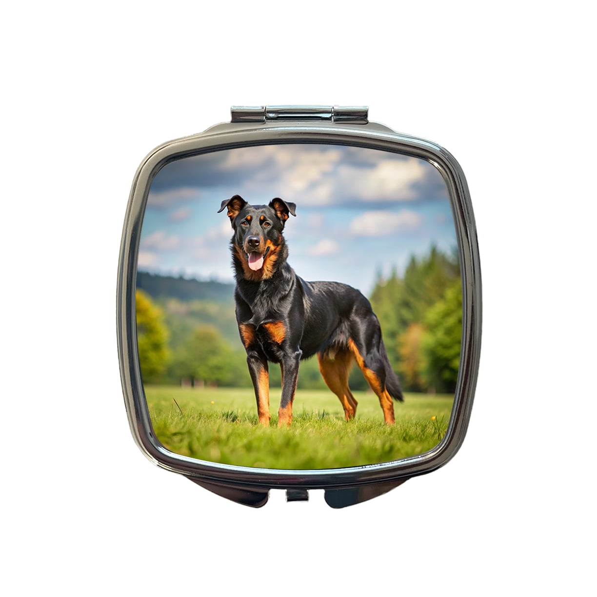 Beauceron Dog Photo Travel Makeup Handbag Purse Small Pocket Compact ...