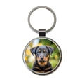 Beauceron Dog Puppy Photo Metal Round Keychain - Walmart.com