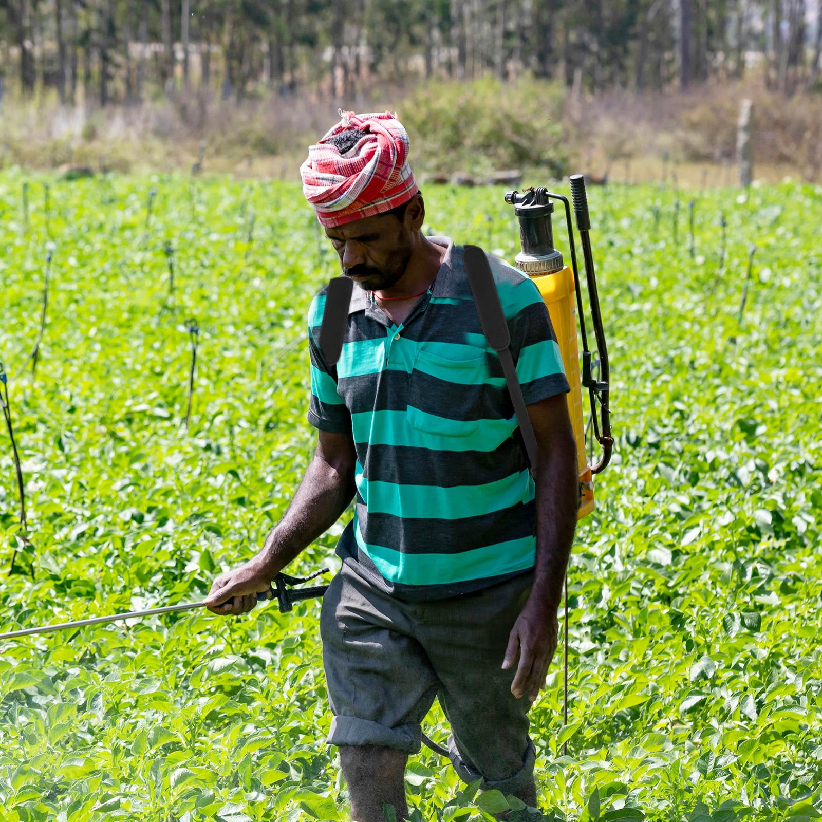 Beaupretty 1 Pair Adjustable Fit Backpack Straps For Pump Sprayer Parts ...