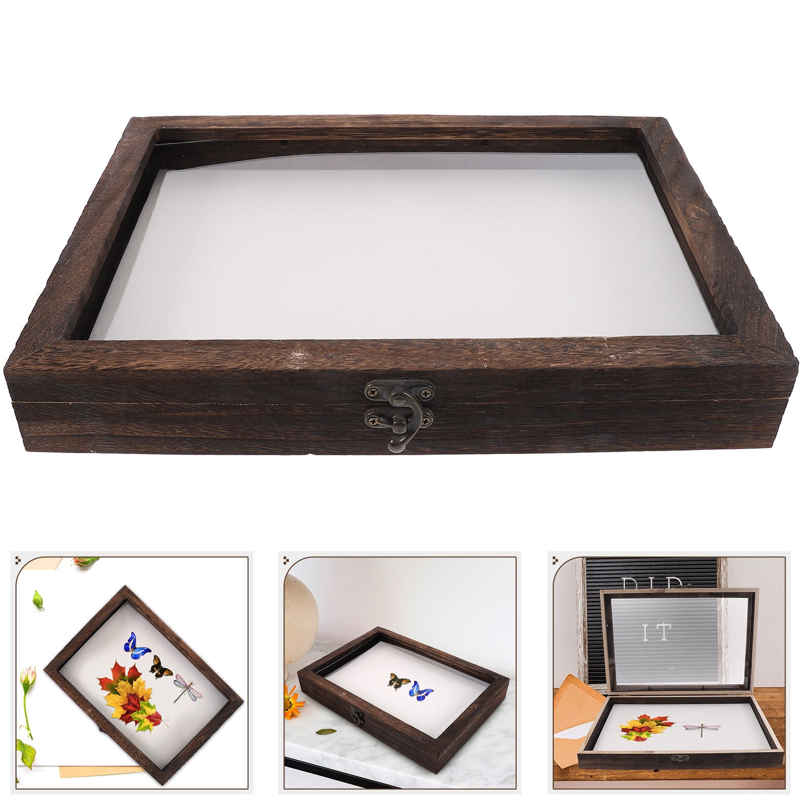 Beaupretty Butterfly Display Box Acrylic 1 Set - Walmart.com