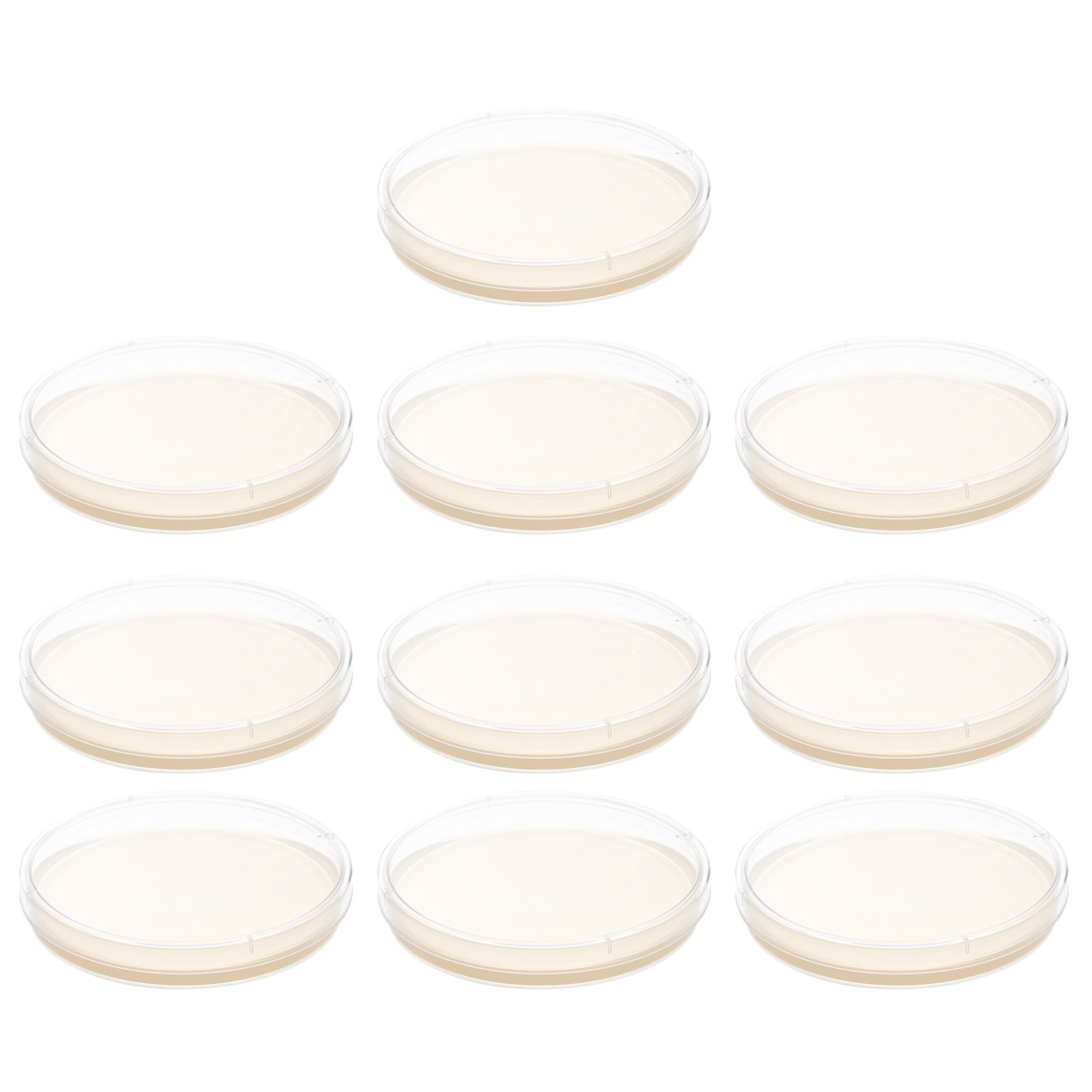 Beaupretty 10Pcs Nutrient Agar Petri Dishes Multi Agar for Amateur ...