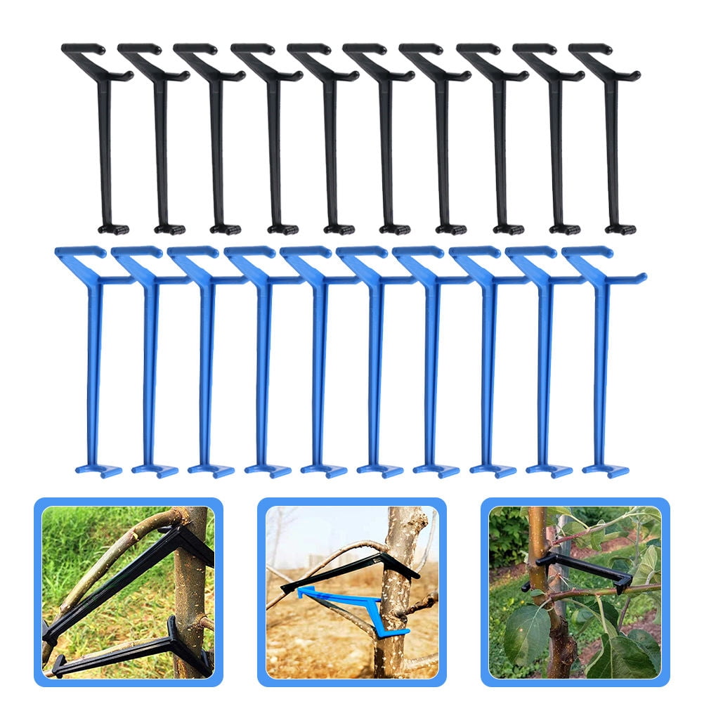 Beaupretty 20Pcs Limb Spreader Fruit Trees PP Assorted Color to Improve ...