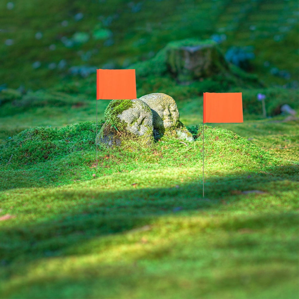 Beaupretty 30Pcs Orange Marker Flags for Lawn Surveying and Underground ...