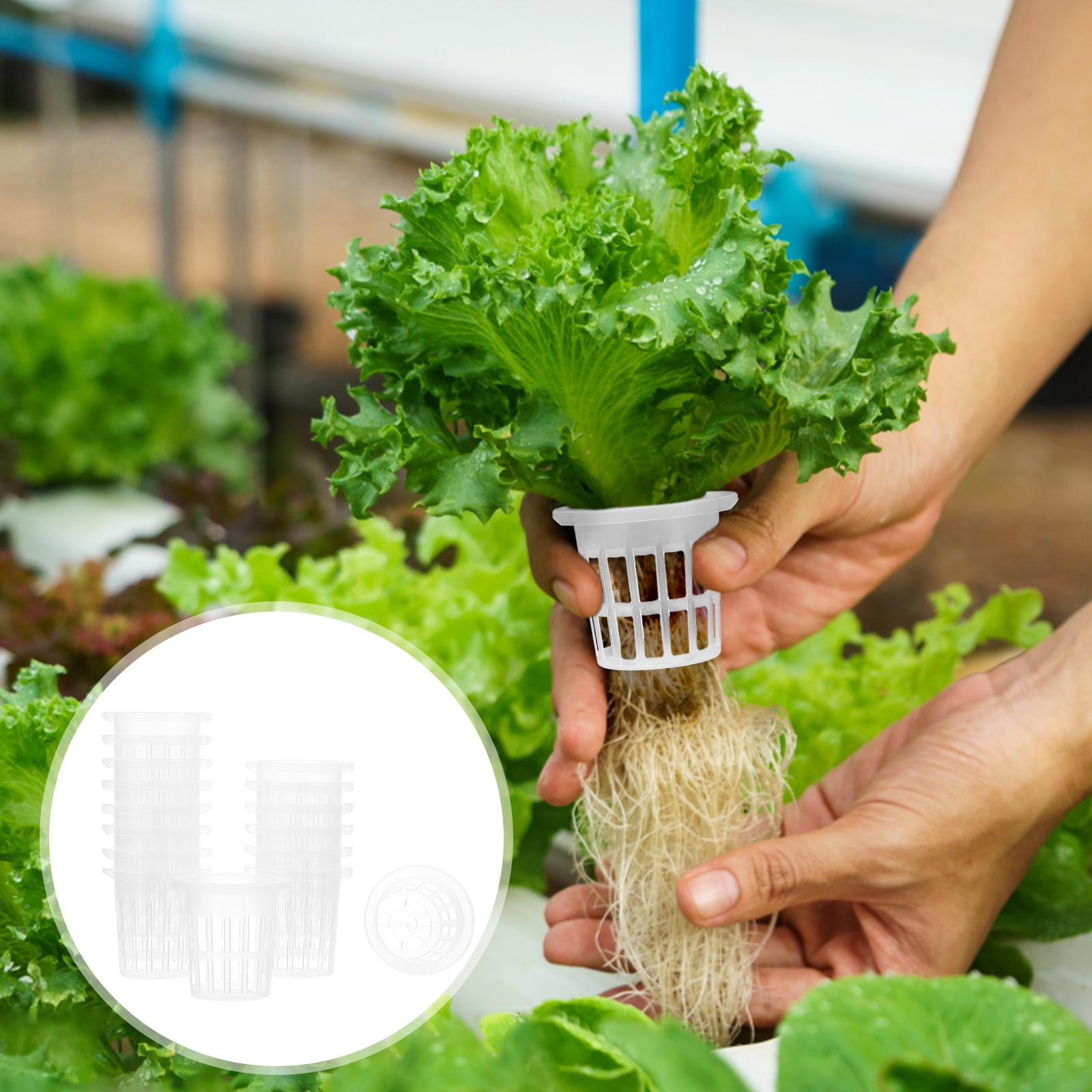 Beaupretty 50 Pcs Garden Flower Basket Plastic Round Hydroponic Nursery ...
