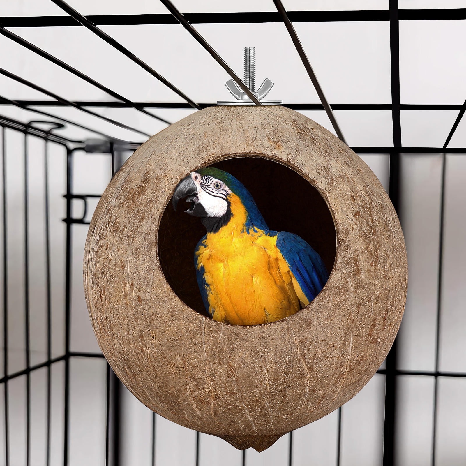 Beaupretty Coconut Shell Bird Nest Handmade Durable Safe Hanging ...