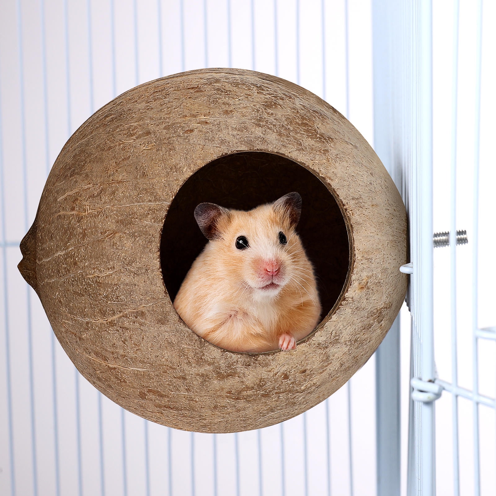 Beaupretty Coconut Shell Bird Nest Handmade Durable Hanging Nest for ...