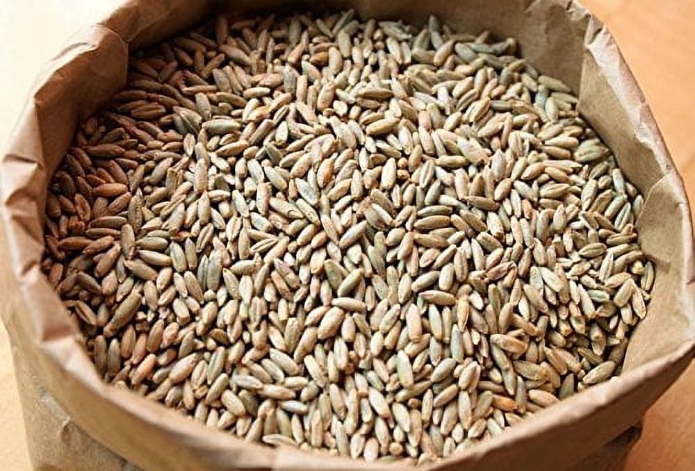 Beautiful (5lb) Organic Cereal Rye Whole Grain Berries - Walmart.com