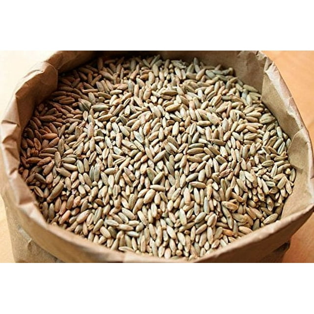 Beautiful (5lb) Organic Cereal Rye Whole Grain Berries - Walmart.com