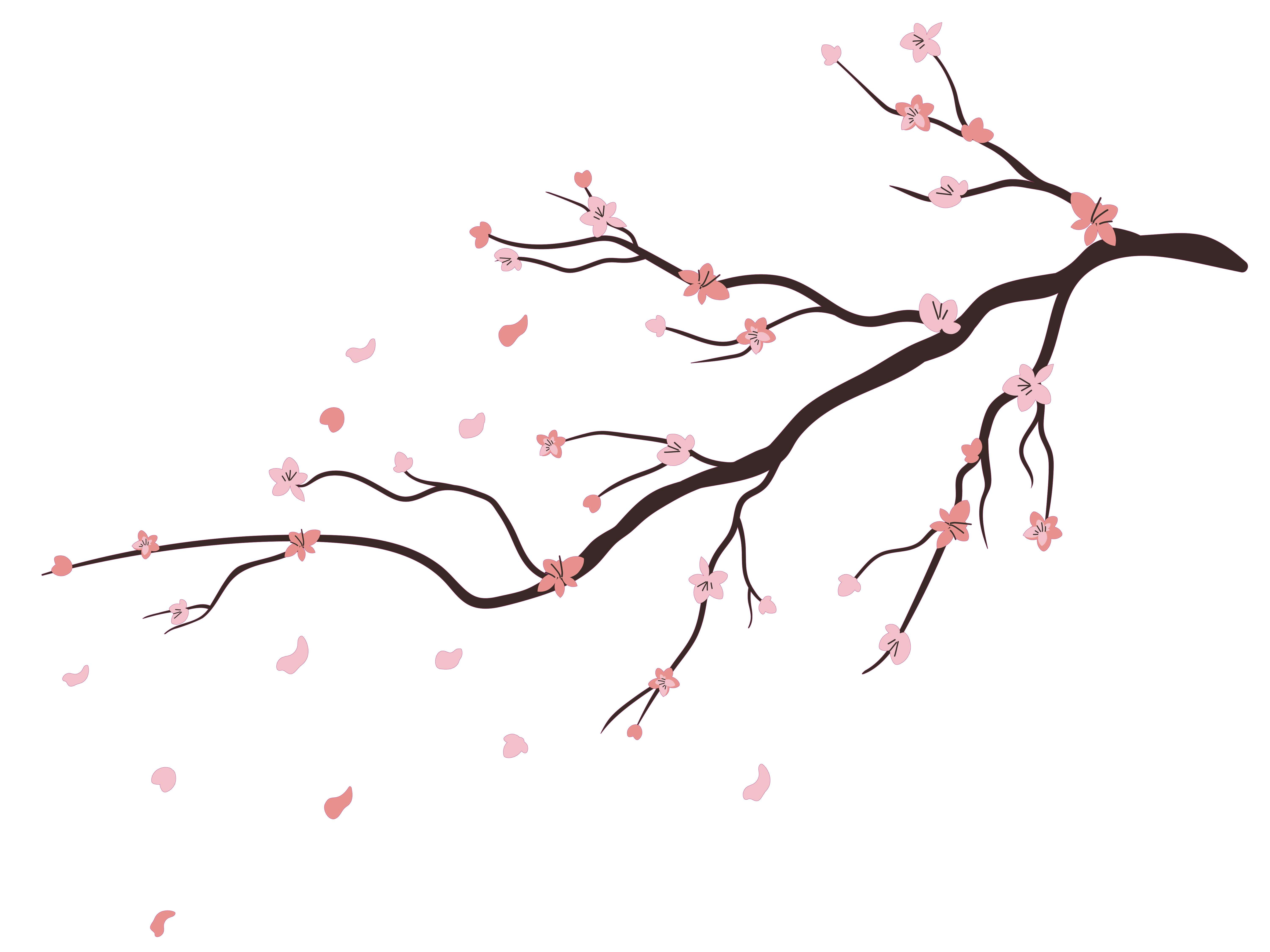 Beautiful Art of a Cherry Blossom Branch Vinyl Wall Decal - Pink Sakura ...