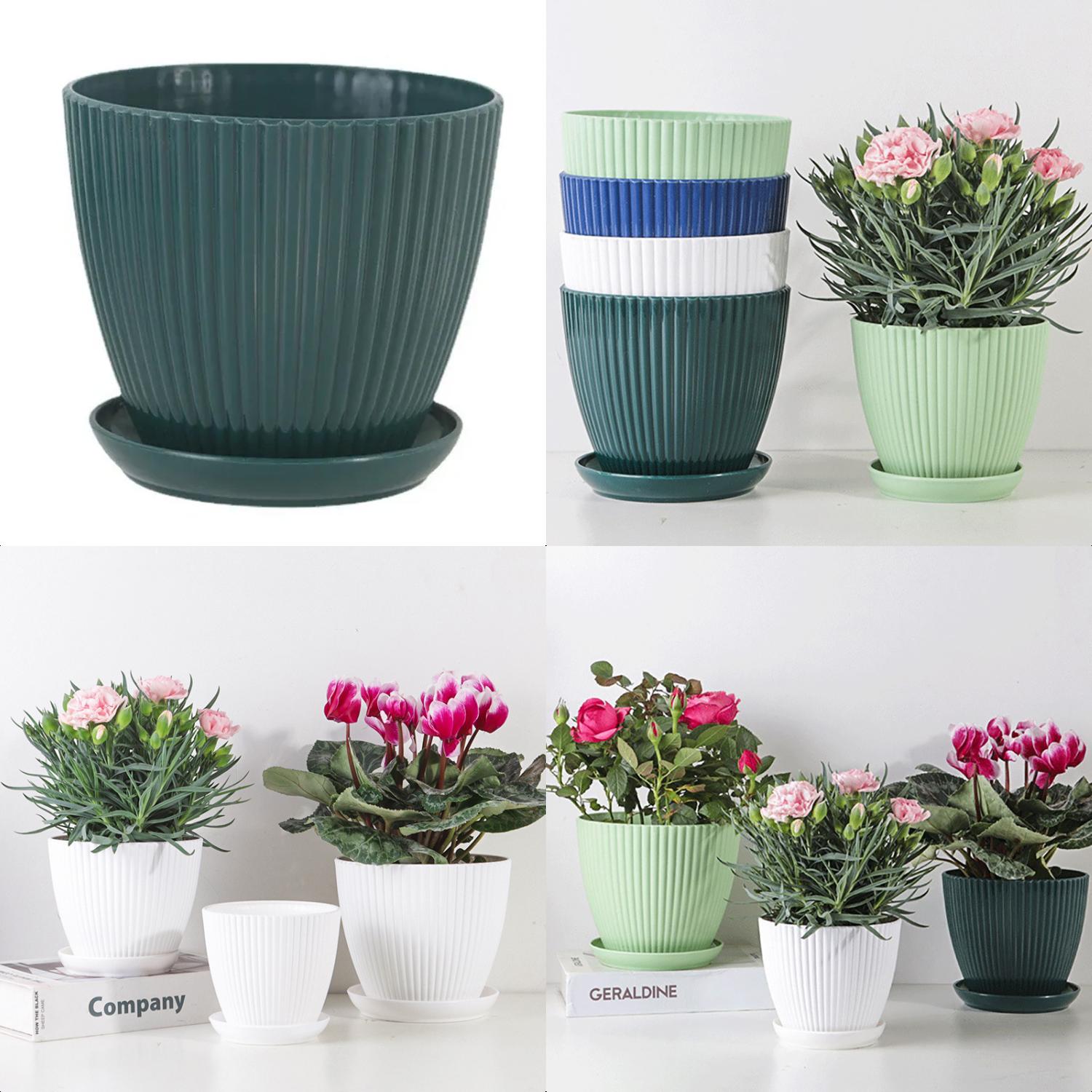 Beautiful Artificial Succulent Plants Series - Stunning Plastic ...