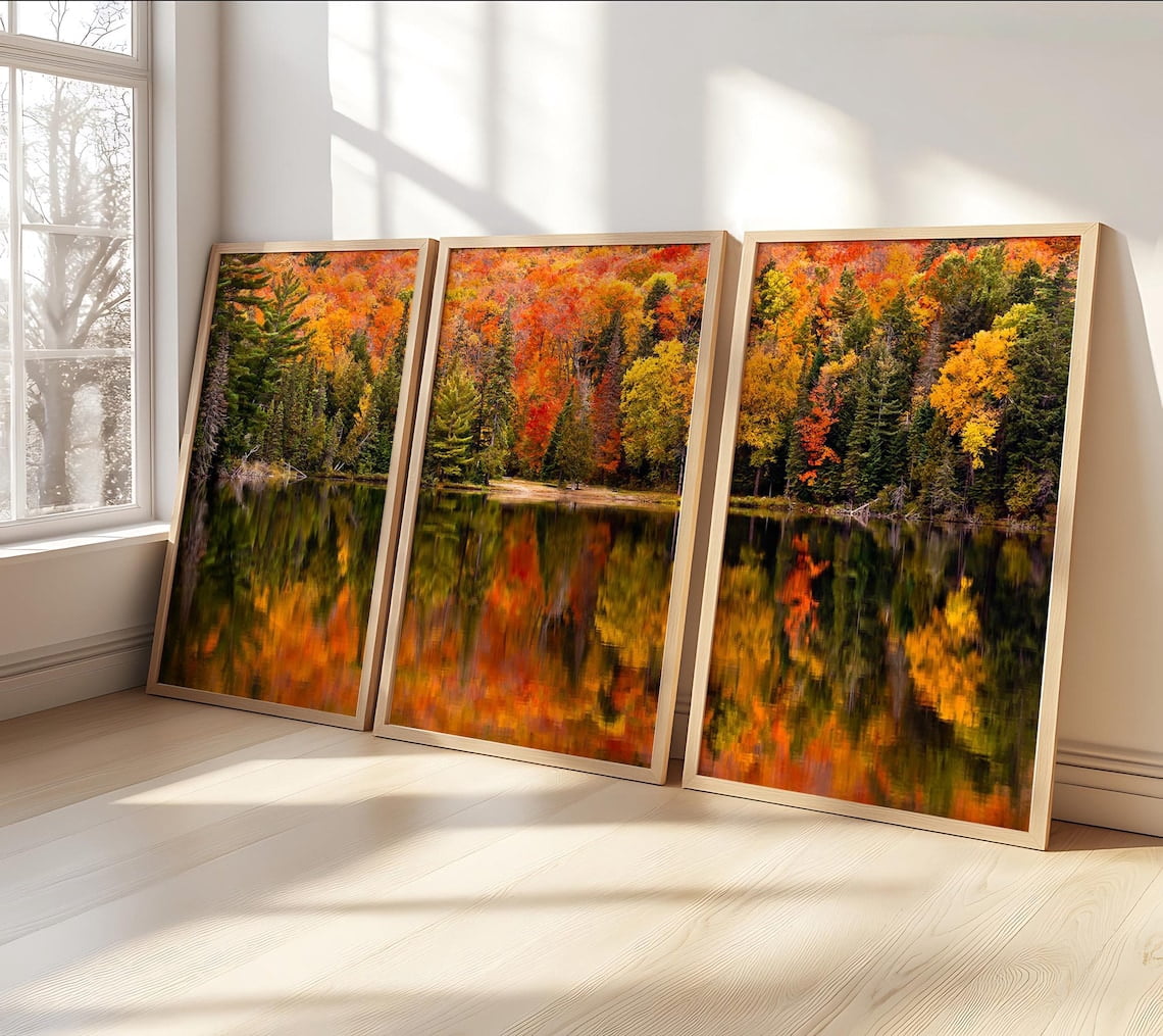 Beautiful Autumn Landscape Autumn Forest View Fall Scenery Photo Autumn ...