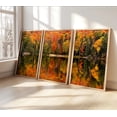 Beautiful Autumn Landscape Autumn Forest View Fall Scenery Photo Autumn ...