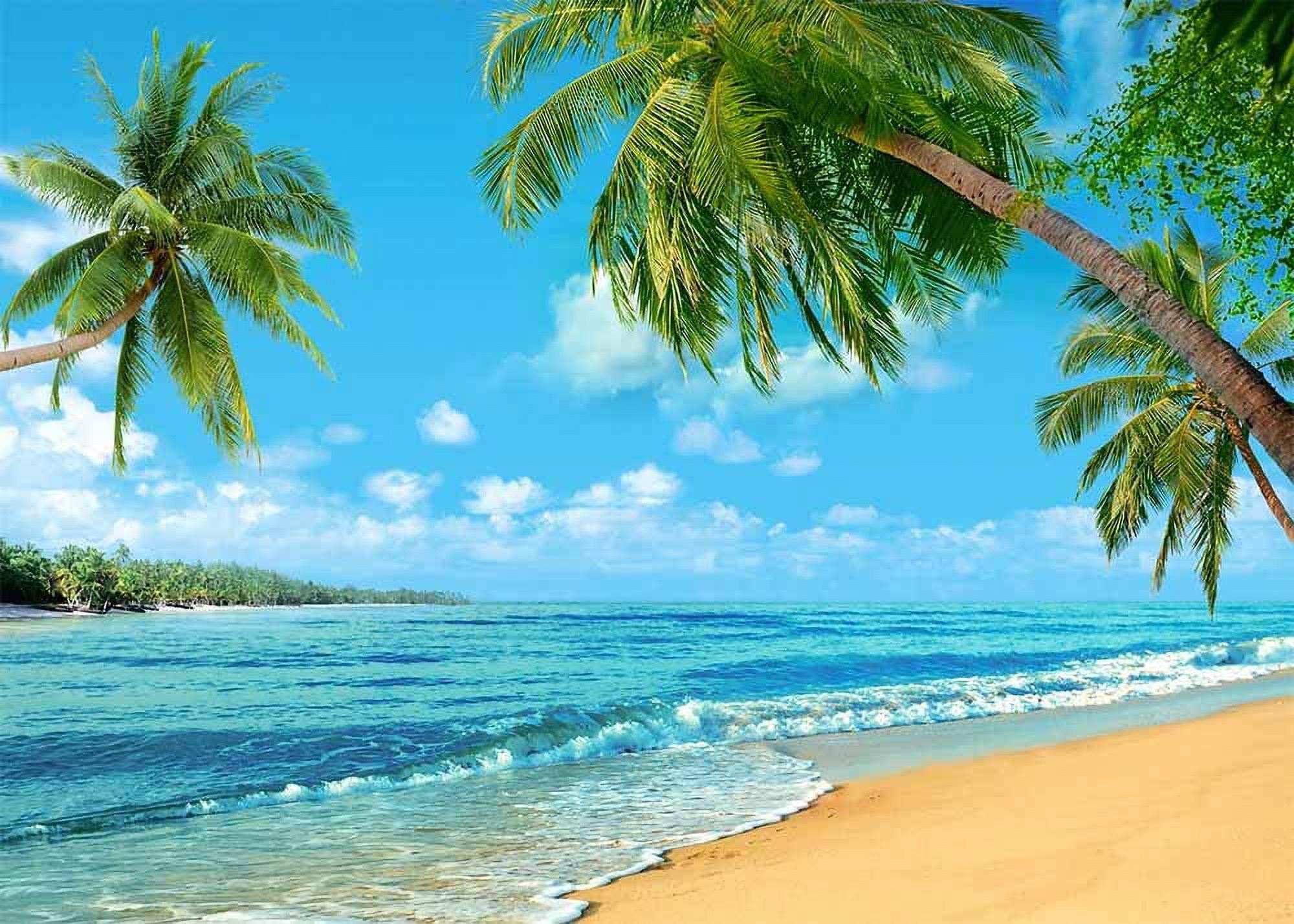 Beautiful Backdrop Summer Tropical Hawaii Palm Tree Or Beach ...