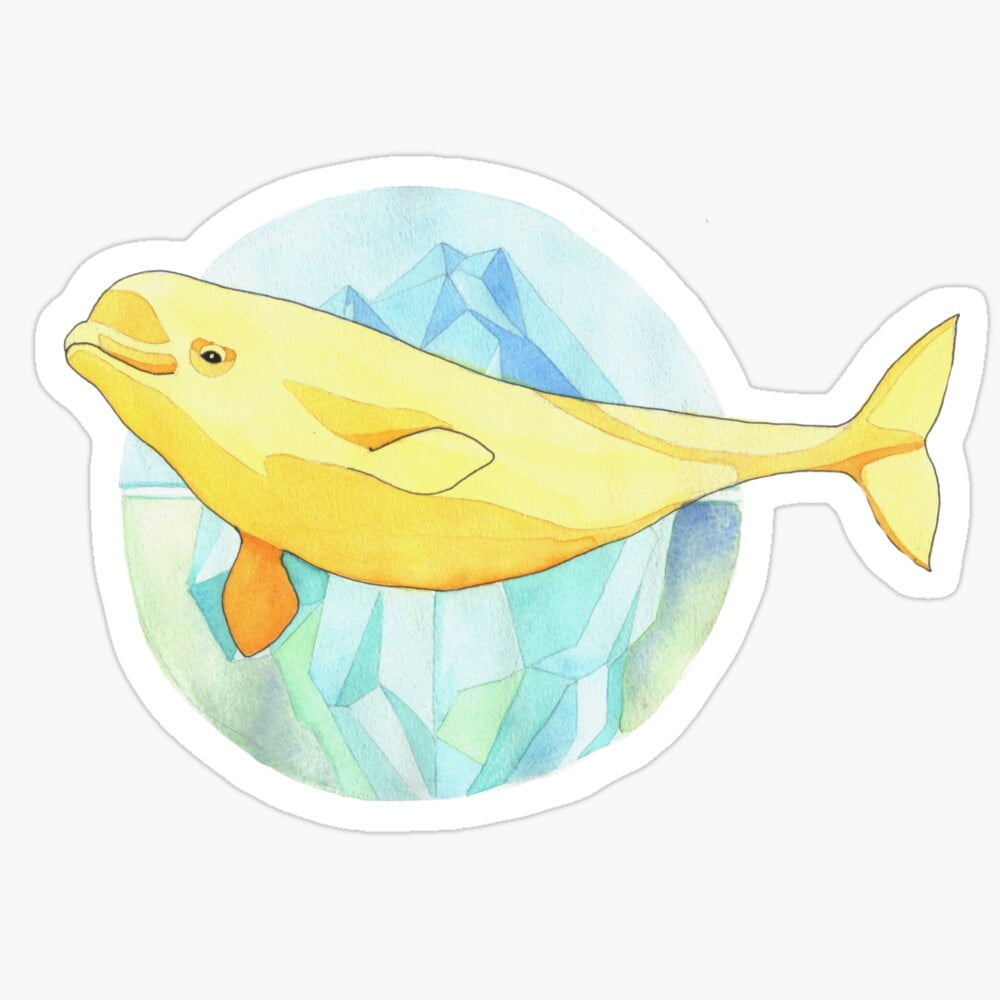 Beautiful Beluga Sticker Phone Decal Water Bottle Stickers Car Decals ...