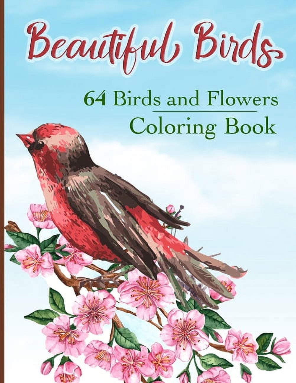 Beautiful Birds Coloring Book: Simple Large Print Coloring Pages with ...
