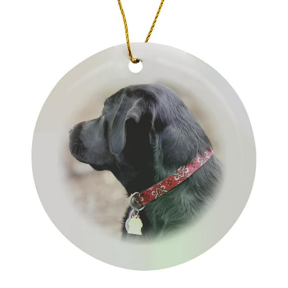 3drose, Beautiful Black Labrador Retriever Dog Pet Photo Side Profile ...