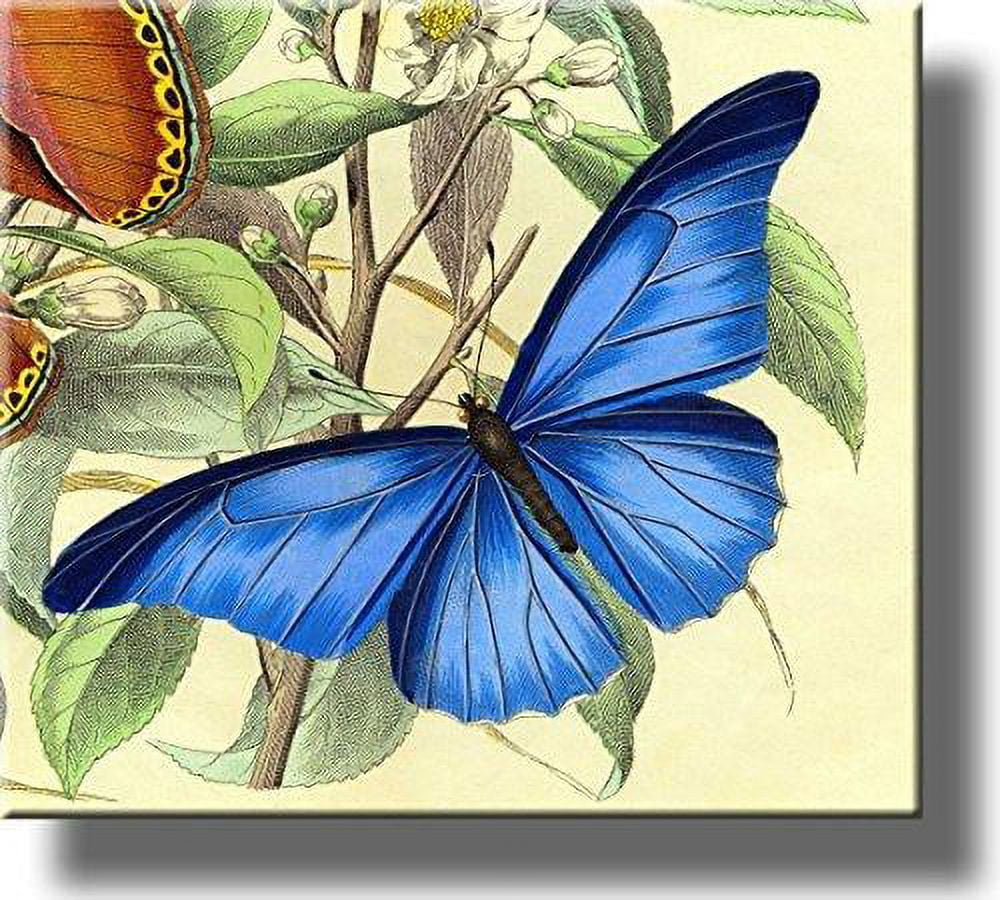 Beautiful Blue Butterfly Picture on Stretched Canvas, Wall Art Décor ...