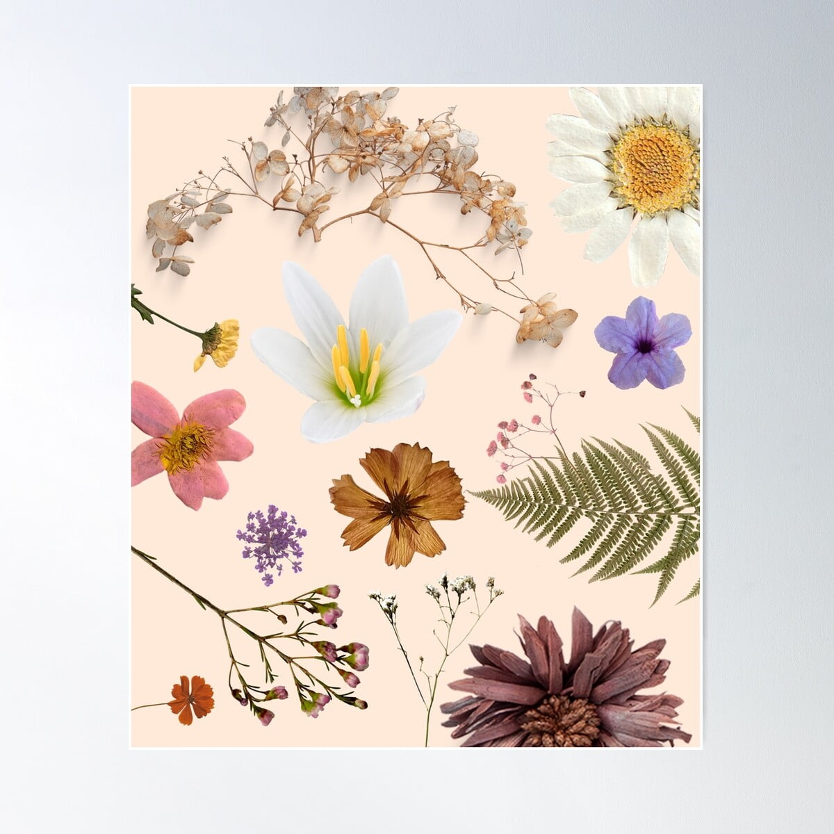 Beautiful Botany Collage - Light Peach Poster Wall Art, Modern Wall ...
