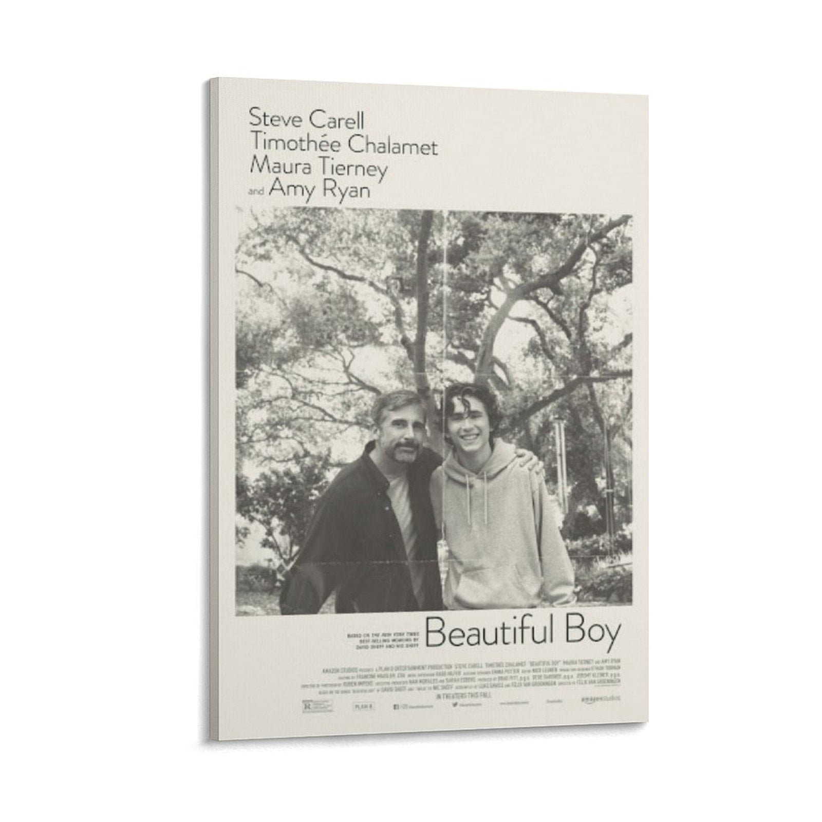 Beautiful Boy Poster Movie Poster Cool Artworks Painting Wall Art ...