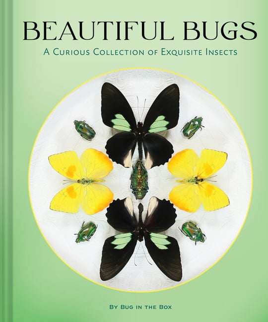 Beautiful Bugs: A Curious Collection of Exquisite Insects, (Hardcover) - Walmart.com