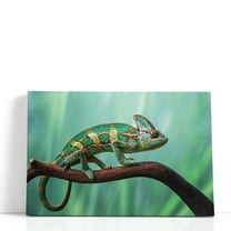 Keel-billed Toucan Bird Sitting on a Branch - Wrapped Canvas Print Wall ...