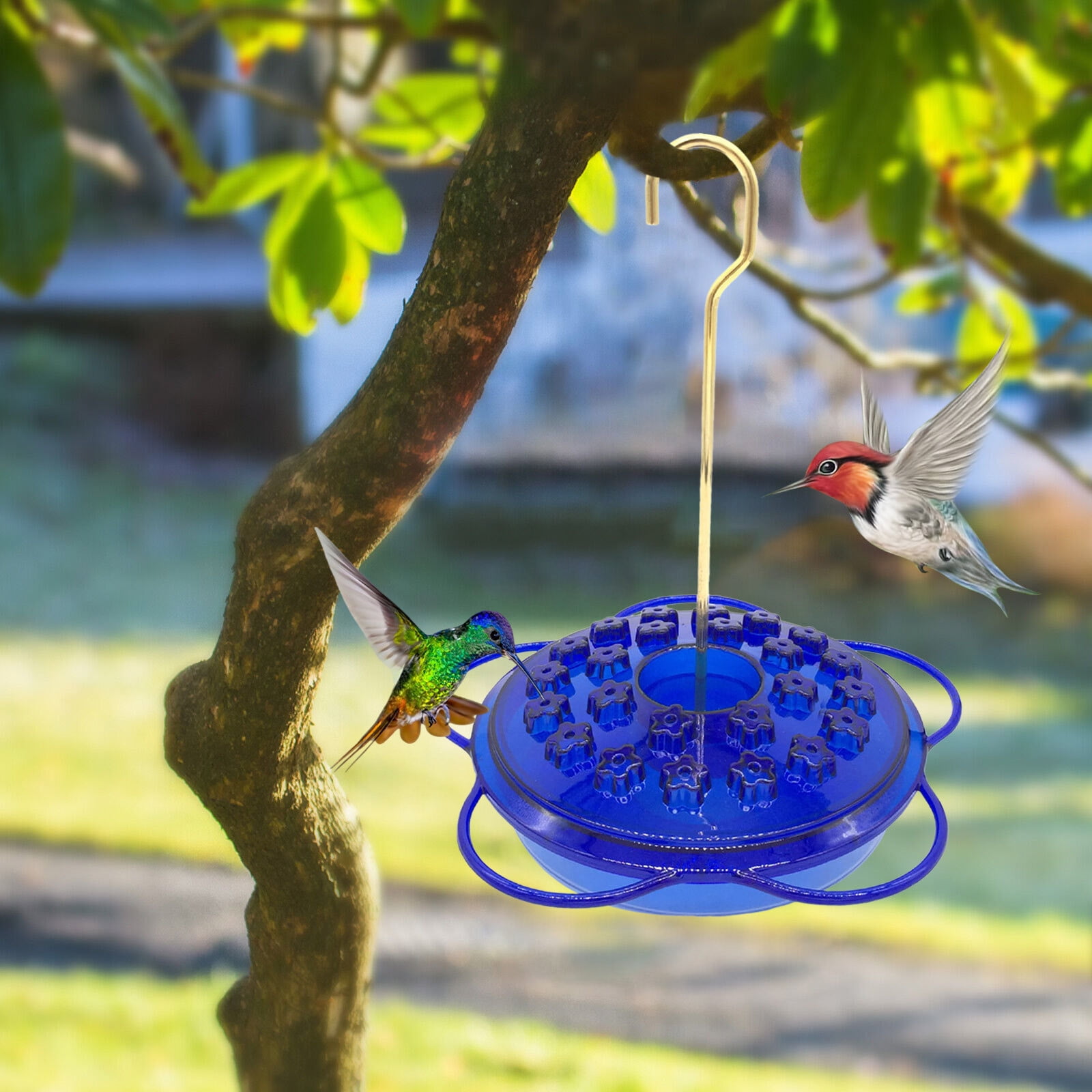 Beautiful Circular Hanging Hummingbird Feeder, Hummble Slim Hummingbird ...