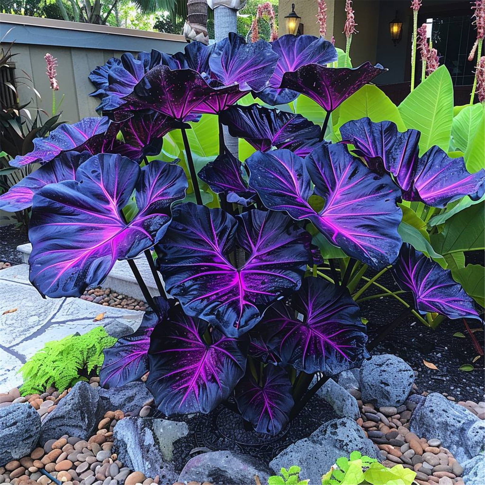 Beautiful - Decoration-Simple to Grow-Garden Stakes Planting ...