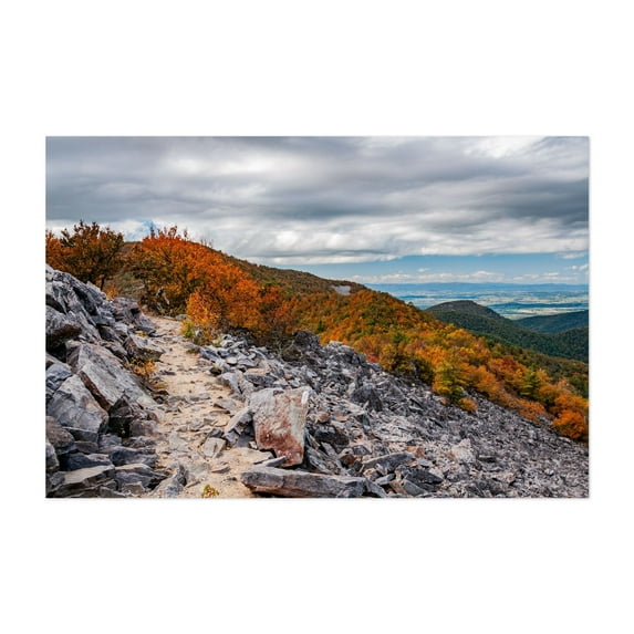 Beautiful Fall Colors along the Rocky Appalachian Trail in VA ...
