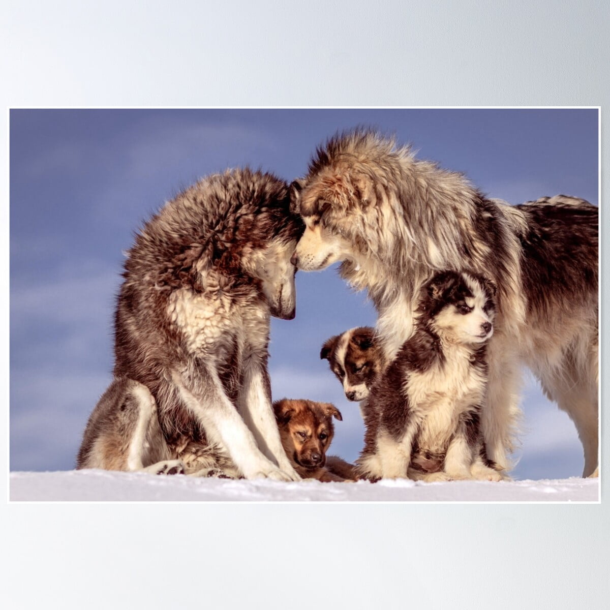 Beautiful Family Of Wolves Showing What Love Is Poster Wall Art, Modern ...