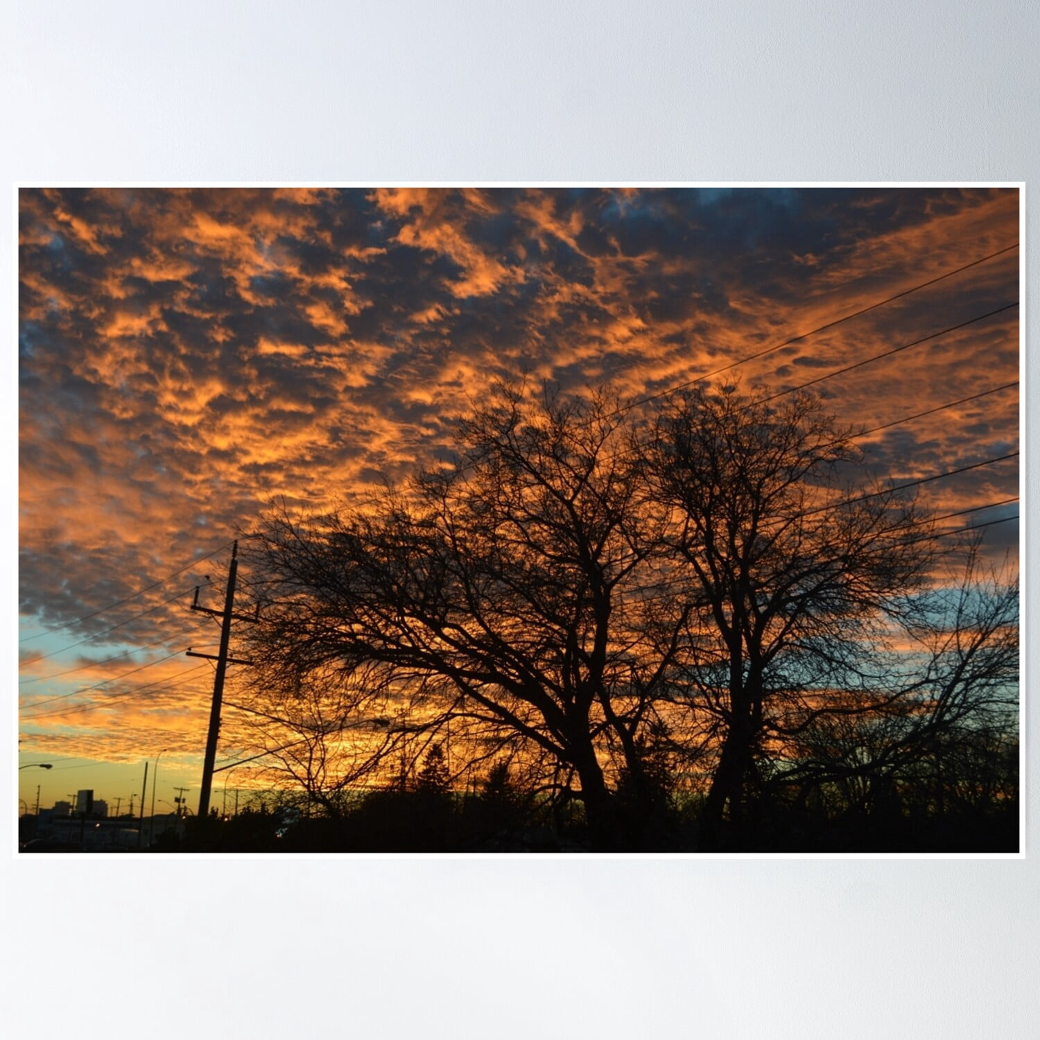 Beautiful Fiery Sunset With A Dark Contrast Tree Silhouette Across ...