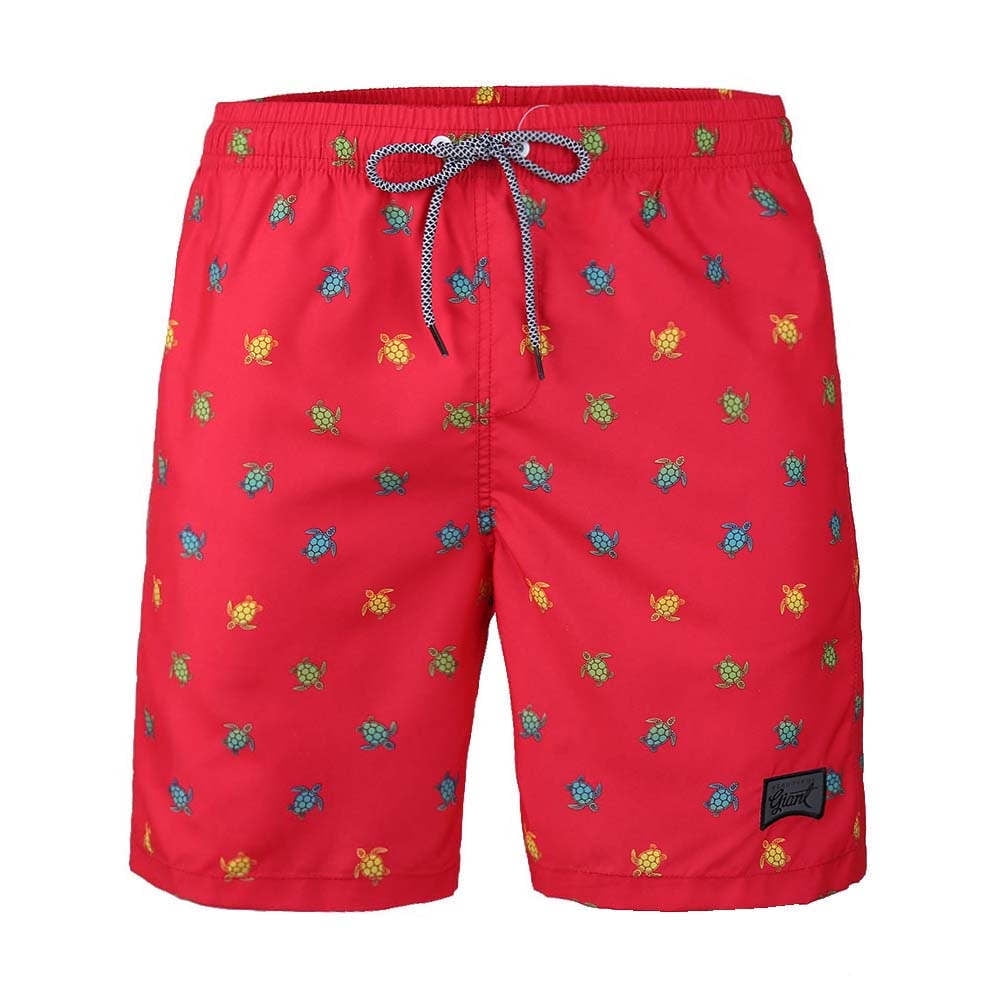 Beautiful Giant Boy's Swim Trunks Quick Dry Hawaii Style Swimwear ...