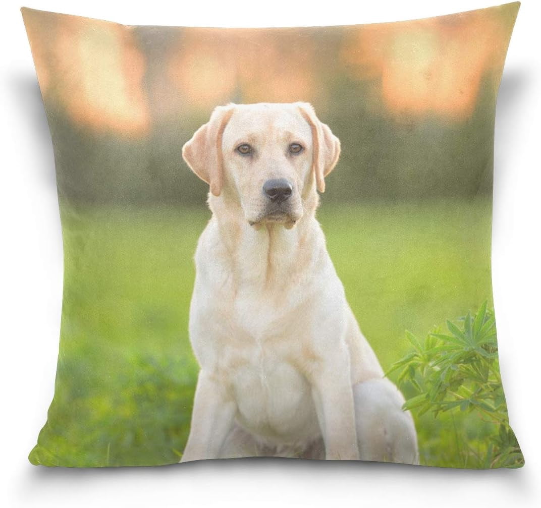 Beautiful Labrador Puppy Velvet Oblong Lumbar Plush Throw Pillow Cover ...