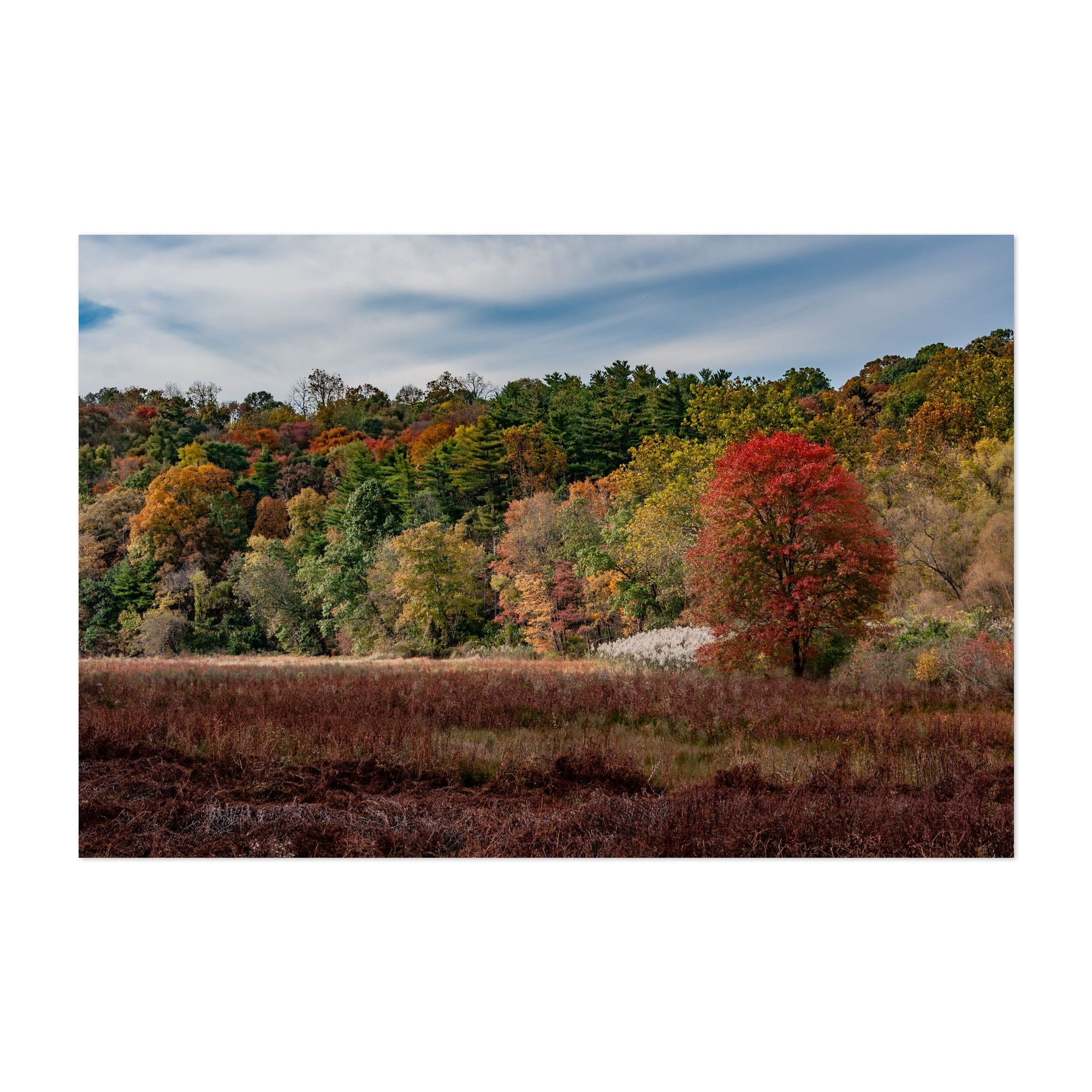 A Beautiful October Afternoon in Pennsylvania - Pennsylvania ...