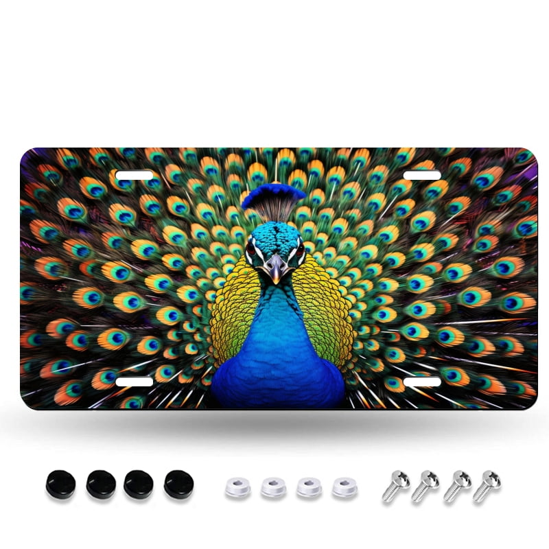 Beautiful Peacock Displaying Colorful Feathers License Plate Frame ...