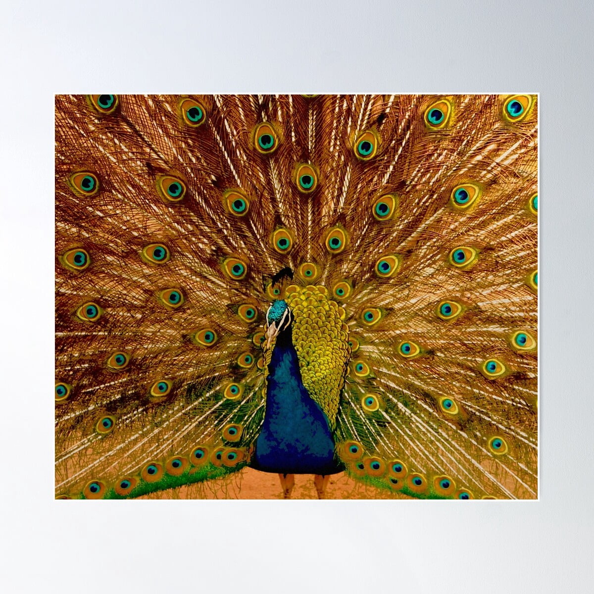 Beautiful Peacock Painting Poster Wall Art, Modern Wall Decor For ...
