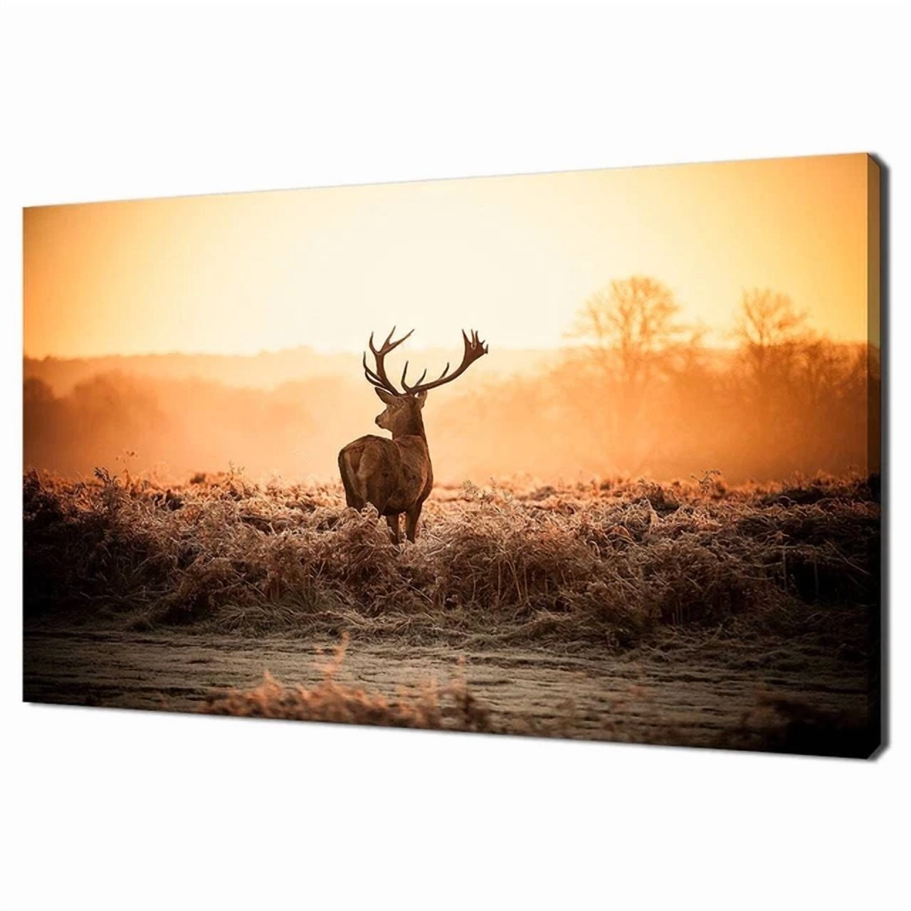 Beautiful Red Deer In The Morning Sun Wall Art Home Decor Vintage Gift ...