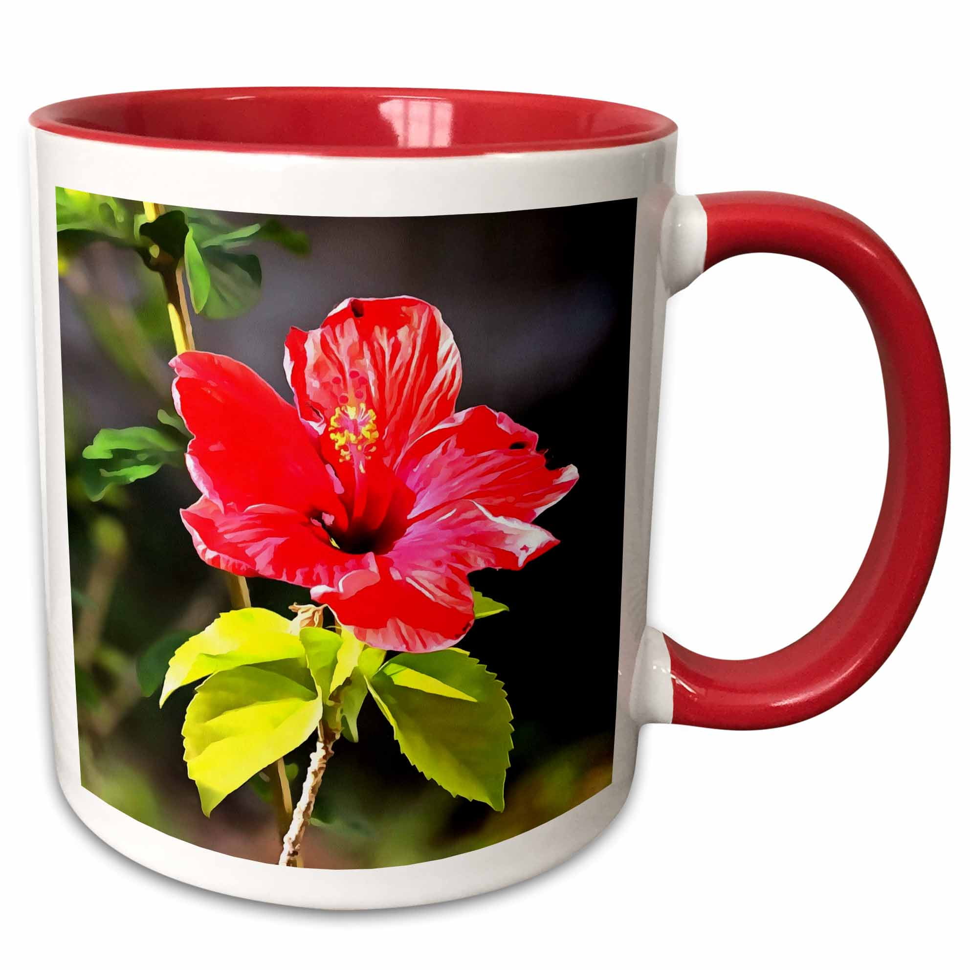 3drose, Beautiful Red Tropical Hibiscus Flower, 15oz Two-tone Red Mug ...