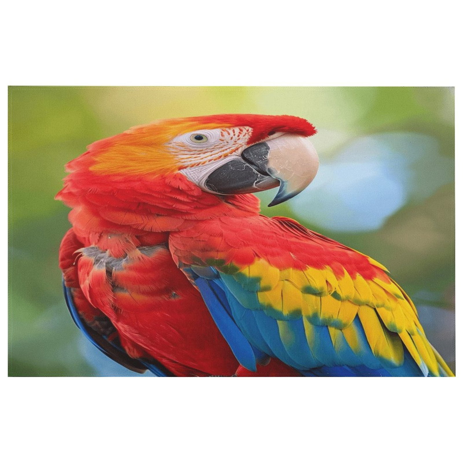 Beautiful Scarlet Macaw Adult Home Decor Bedroom Living Room Crystal ...