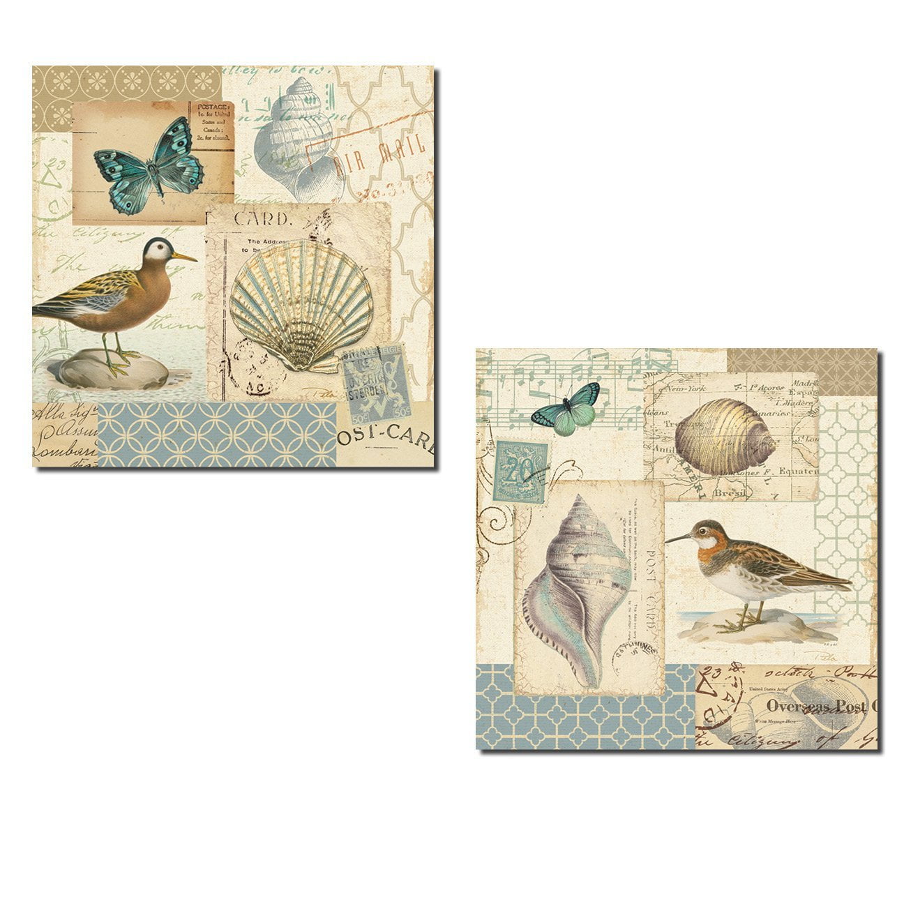 Beautiful Seabird, Butterfly, Shell and Music Note Collage by Pela ...