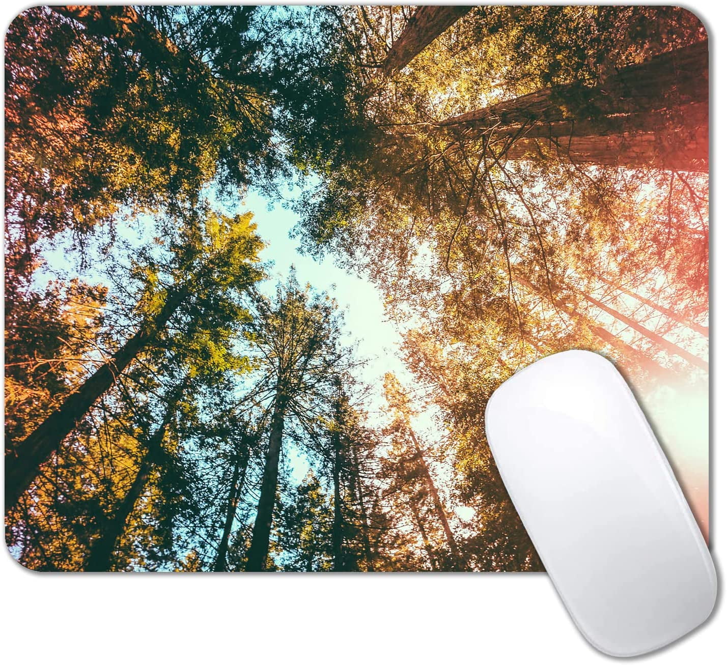 Beautiful Sky Mouse Pad, Sublime Trees Nature View Mouse Pad ...