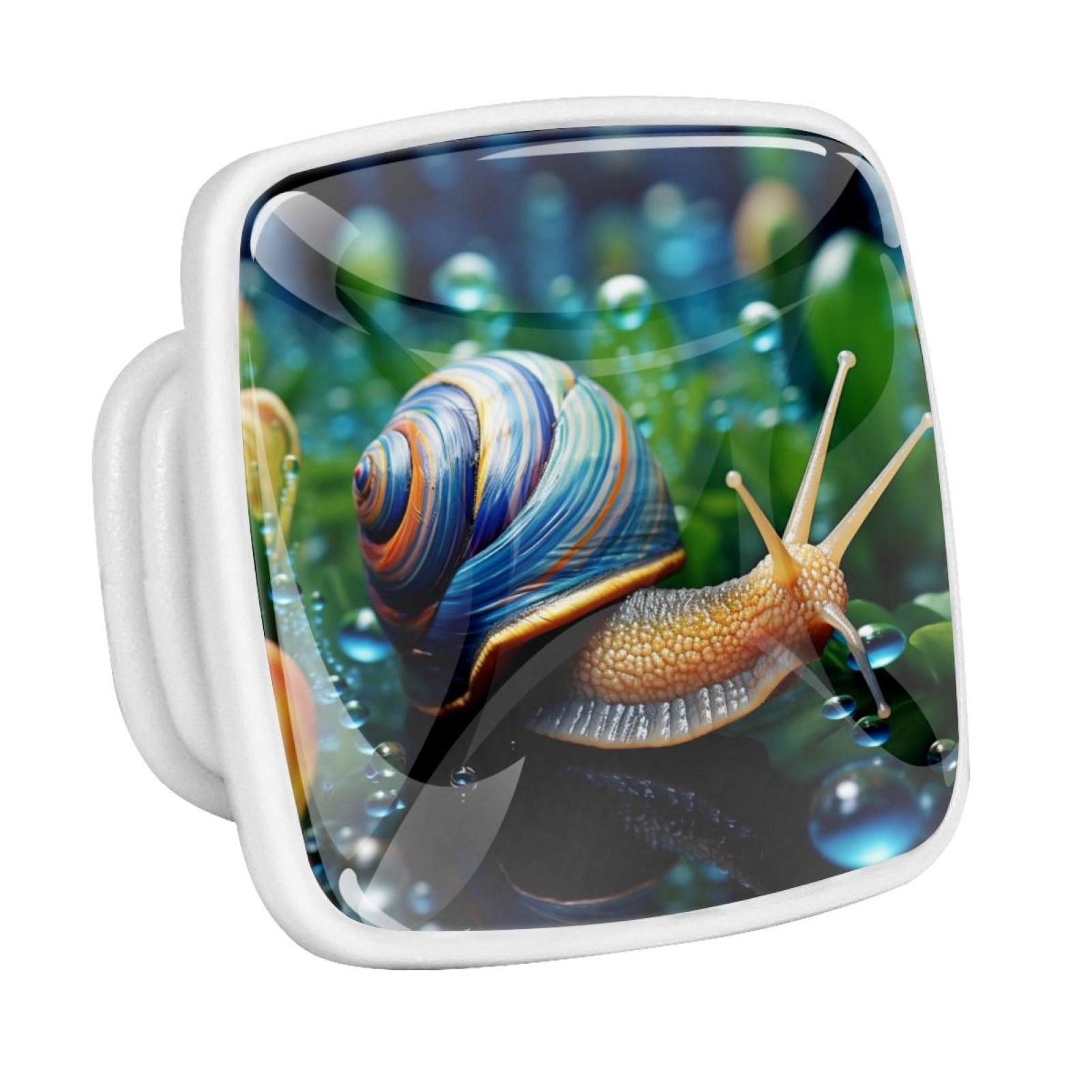 Beautiful Snail Fluorescent Drawer Pulls with Screws Square 4-Pack Glow ...