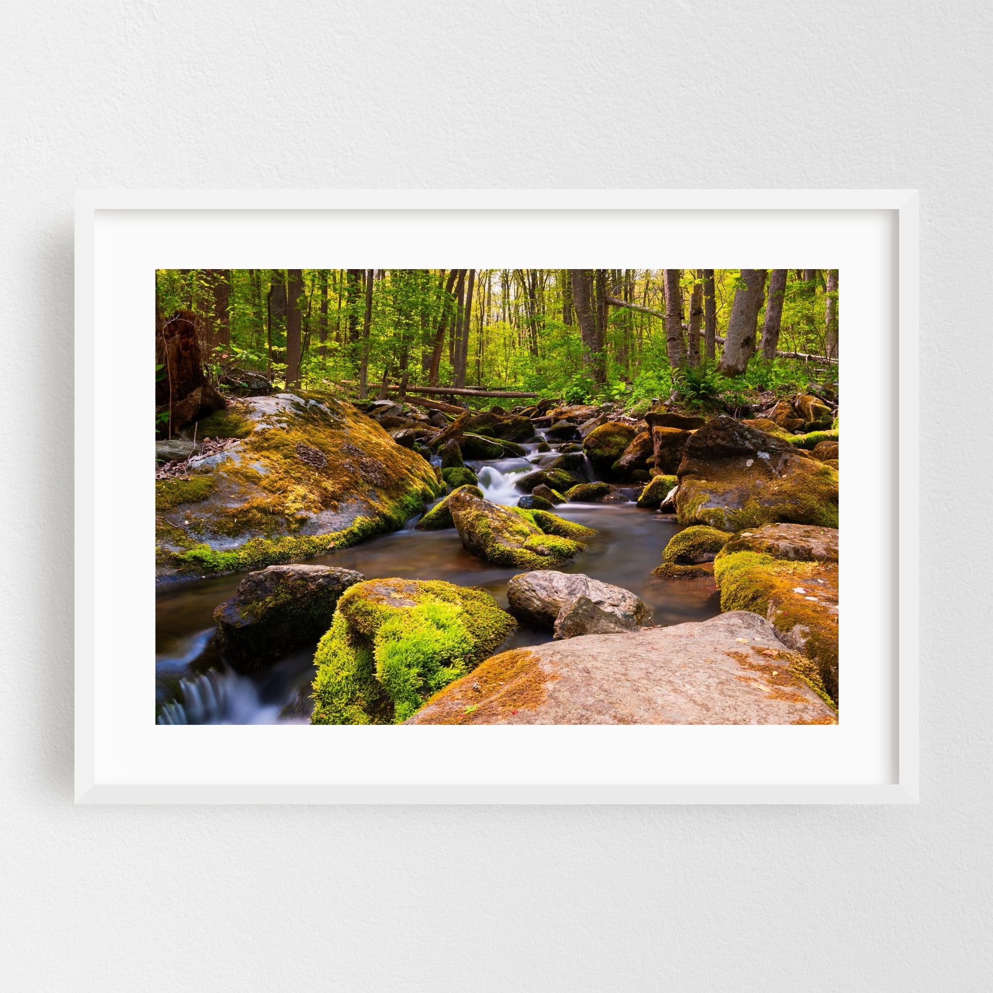 A Beautiful Stream in Shenandoah National Park, VA - Virginia ...