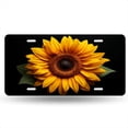 Beautiful Sunflower Against Black Background, Viewed From Above ...